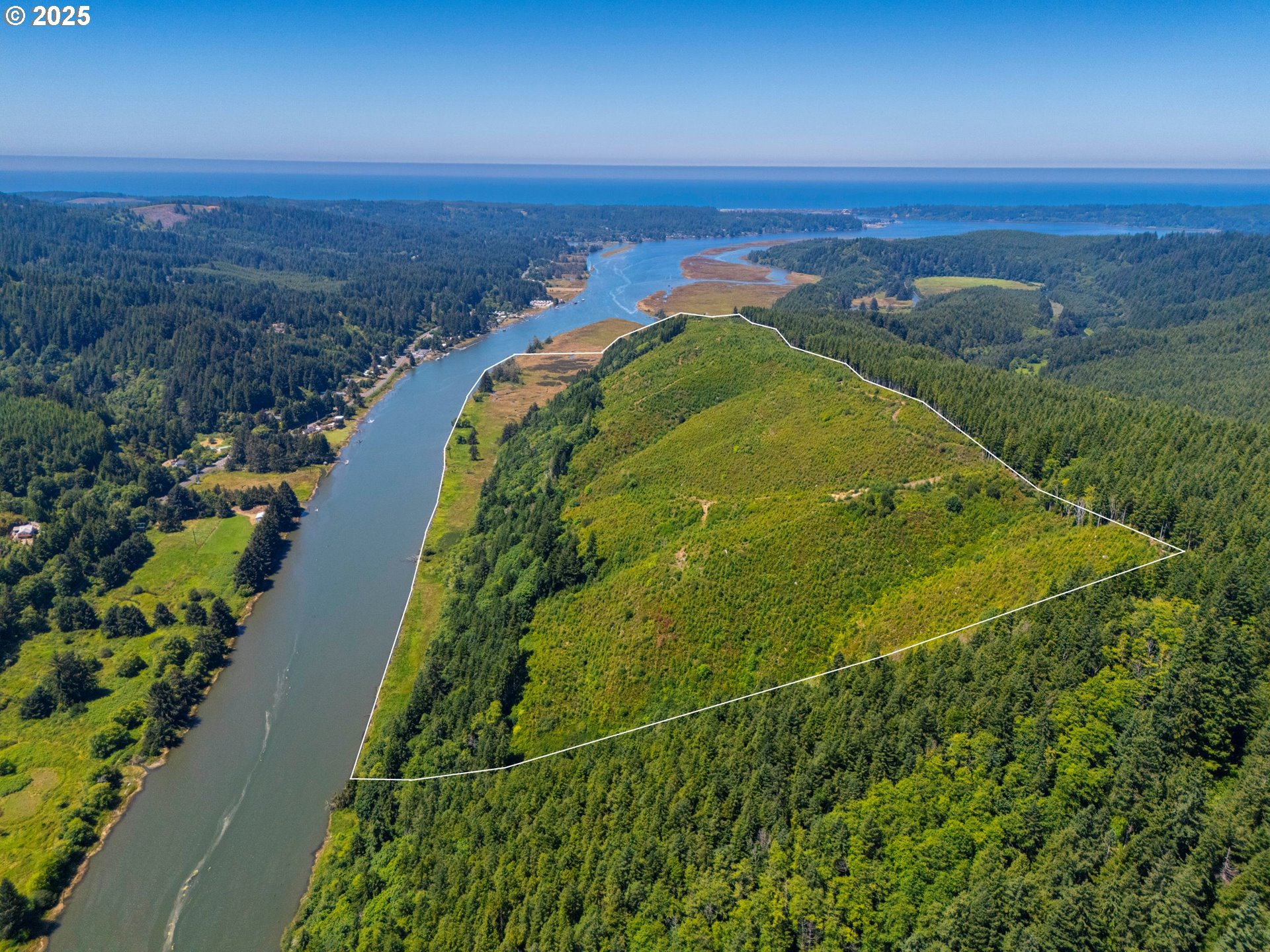 Timberland/Bareland | Oregon Real Estate | Made Out West Land Co.