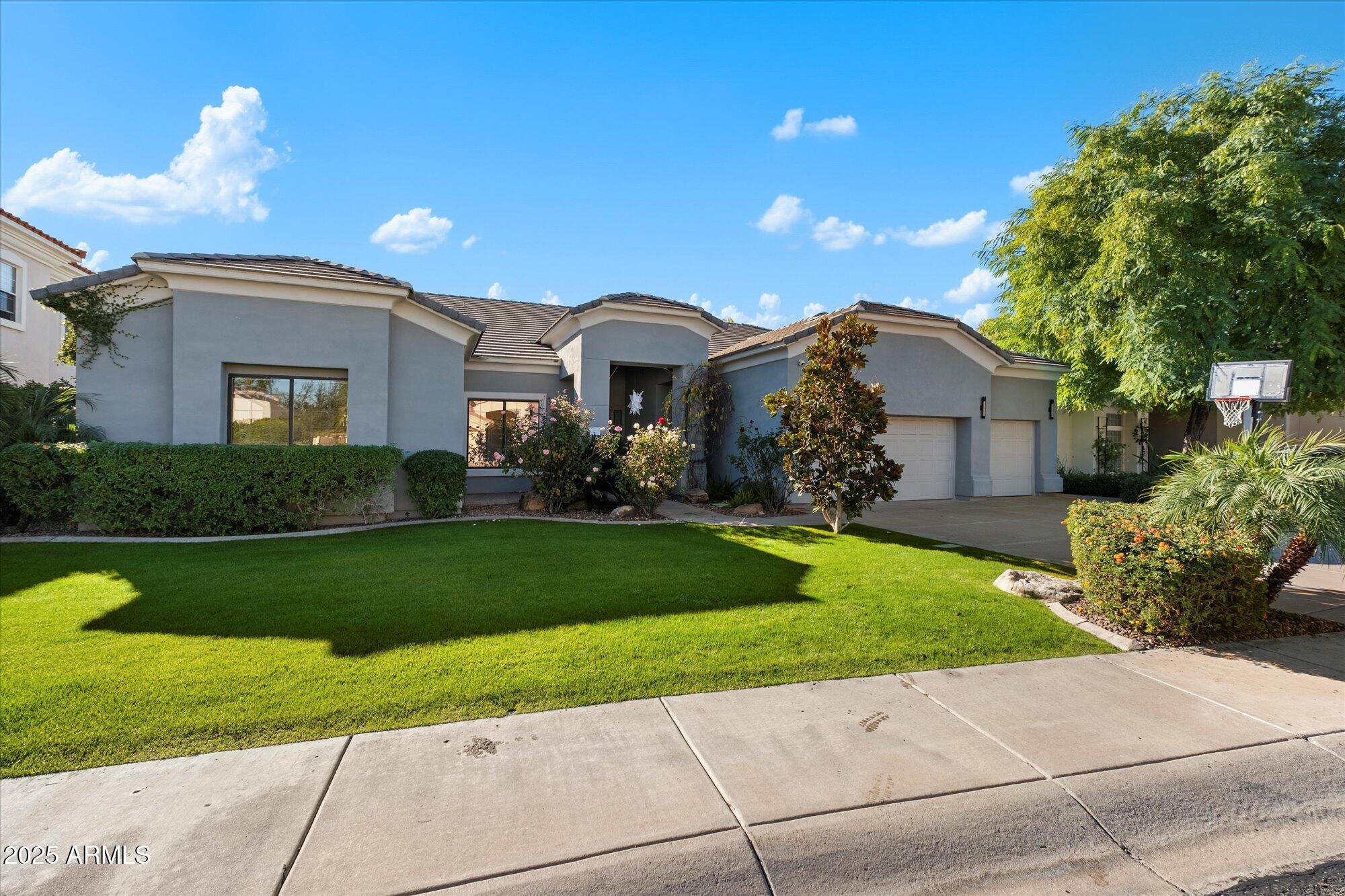 Colleen Olson | Scottsdale Real Estate Agents