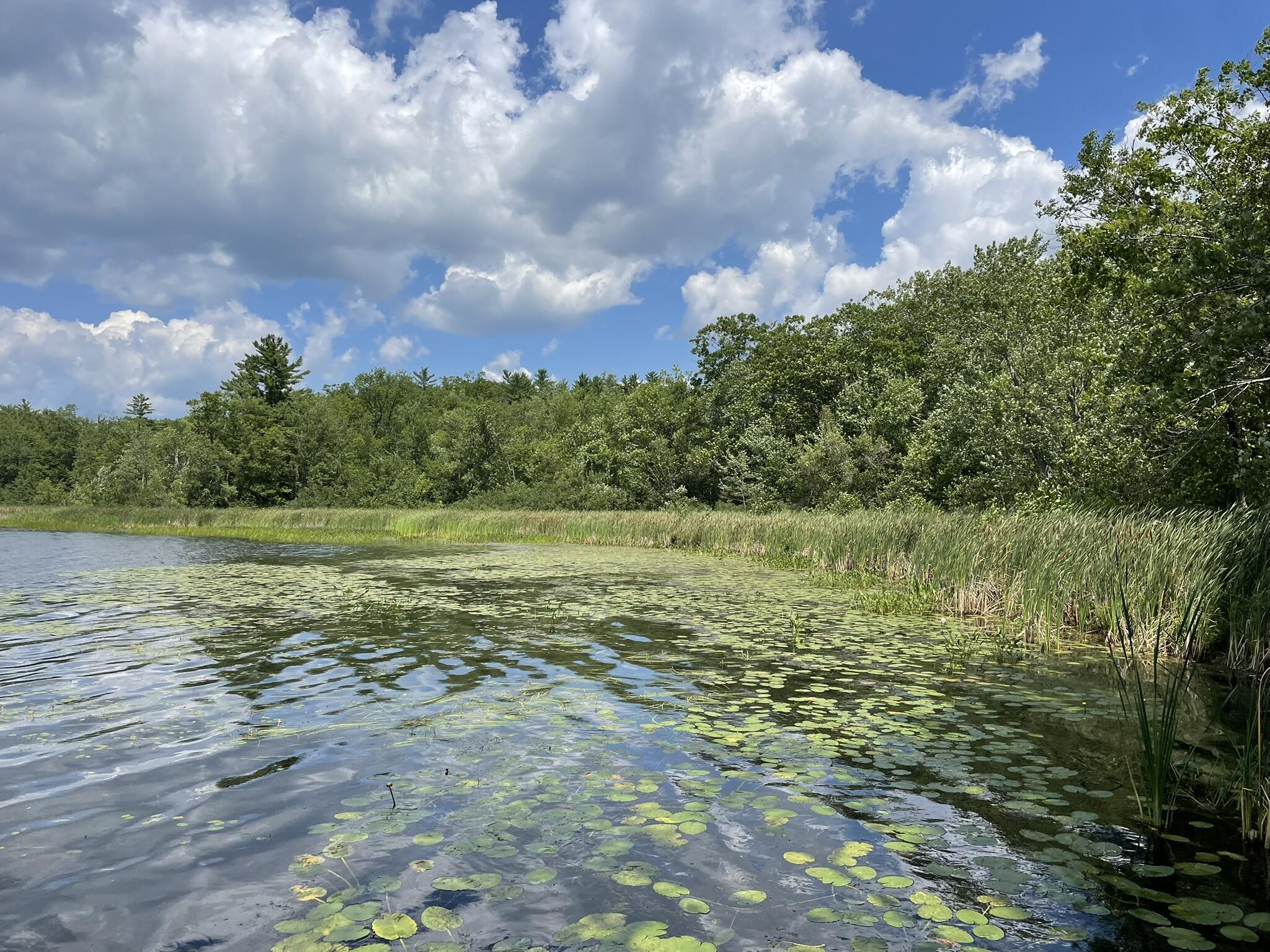 Lot 6 Holmes Brook Lane