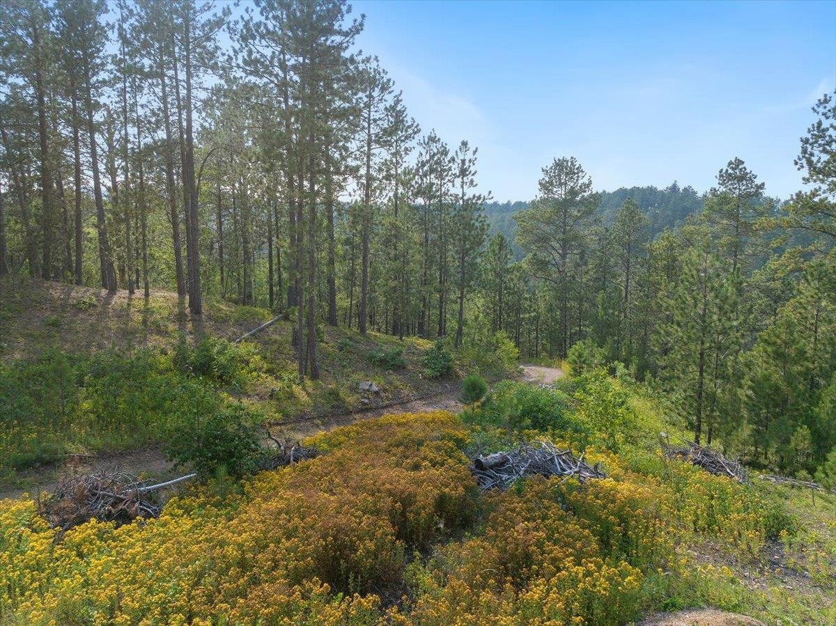 11152 Sylvanite Dr.