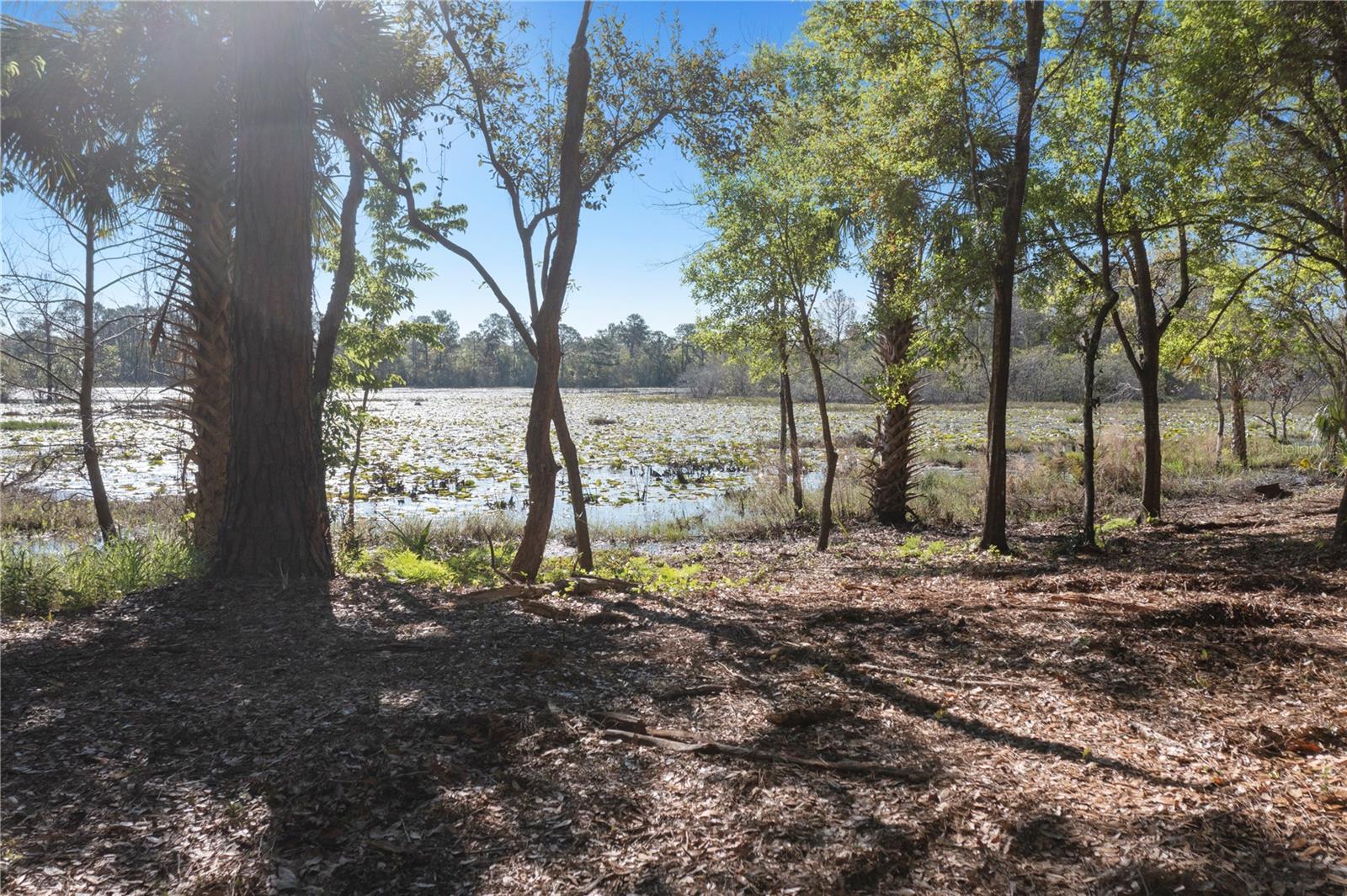 Mel Bernstein Team | Lake Mary Luxury Real Estate