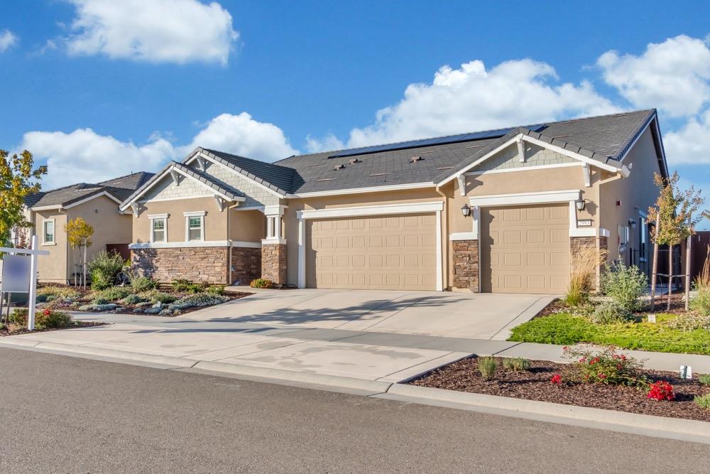 Jasmine Sunkara | El Dorado Hills Real Estate Agent