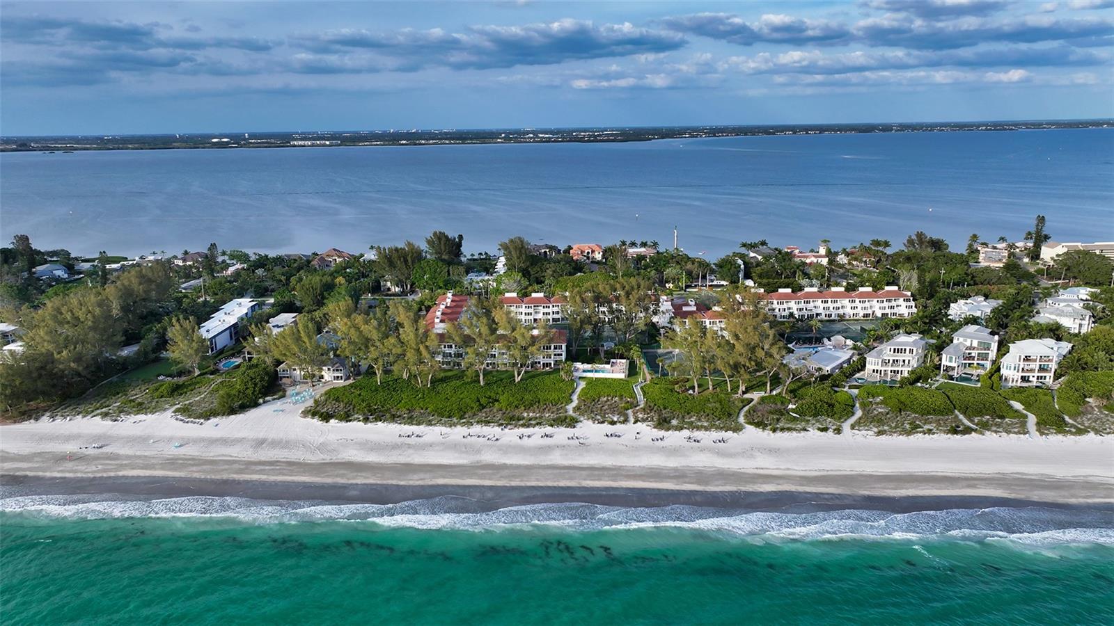 The Ackerman Group | Sarasota Real Estate Group